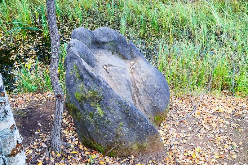 Large Grey Stone Boulders in the Forest among Tree Trunks in Autumn ...