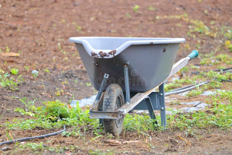 Large Grey Wheelbarrow in Garden Stock Image - Image of plastic, dirt ...