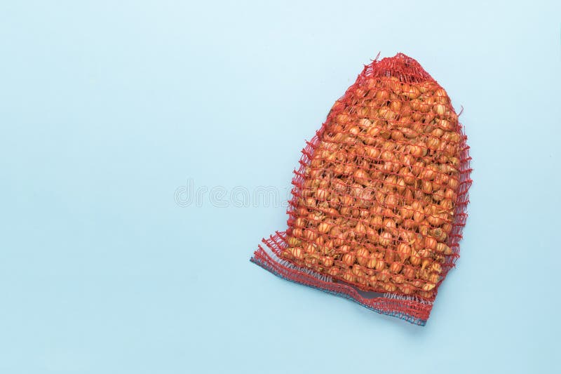 A Large Grid with Onion Seeds on a Blue Background Stock Photo - Image ...