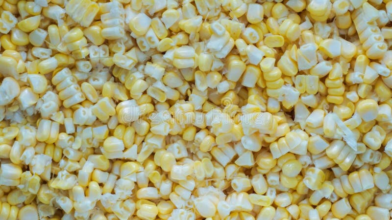 Large Group of Boiled Corn Kernels Stock Image - Image of popcorn ...