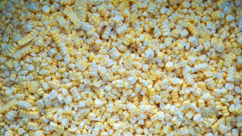 Large Group of Boiled Corn Kernels Stock Photo - Image of corn ...