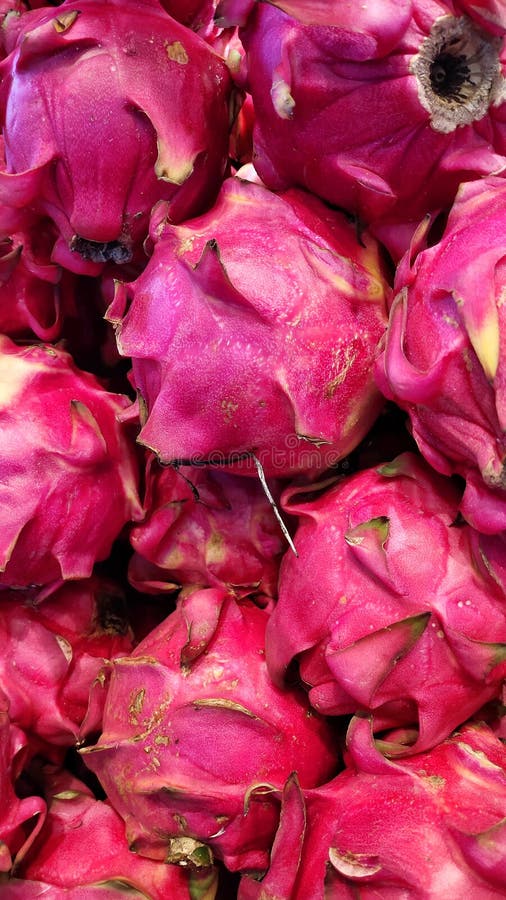 A Large Group of Dragon Fruit Stock Image - Image of asian, exotic ...