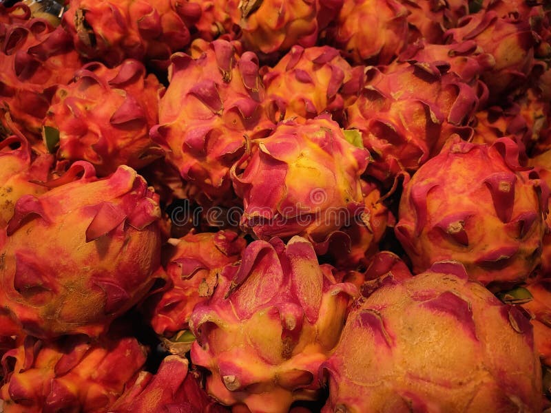Large Group of Dragon Fruit in the Store Stock Image - Image of ...