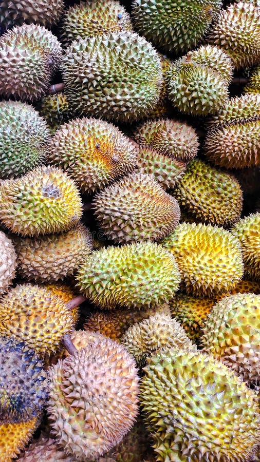 A Large Group of Durian at Fruit Market Stock Image - Image of ...