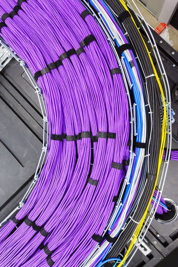 Large Group of Lilac Utp Cables Stock Image - Image of connection ...