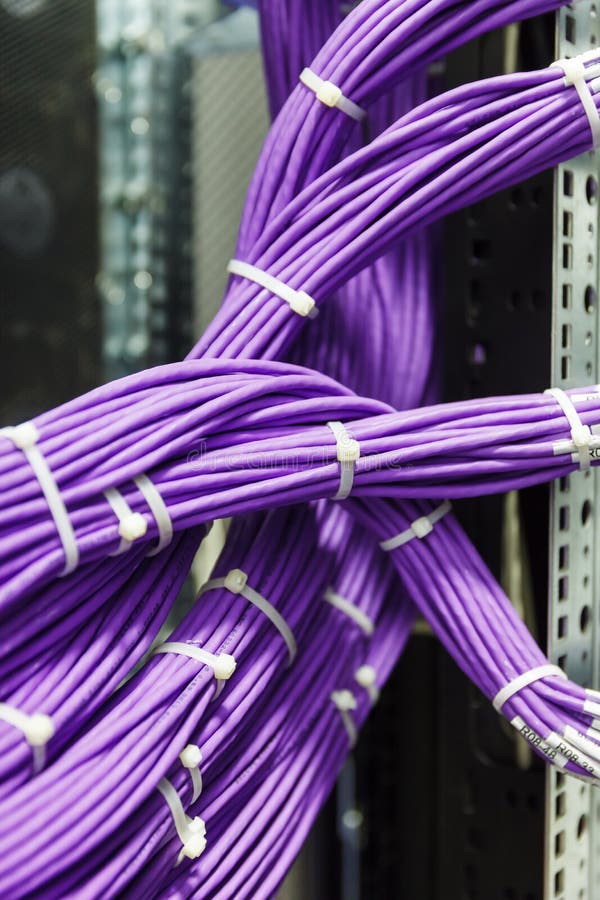 Large Group of Lilac Utp Cables Stock Photo - Image of disconnected ...