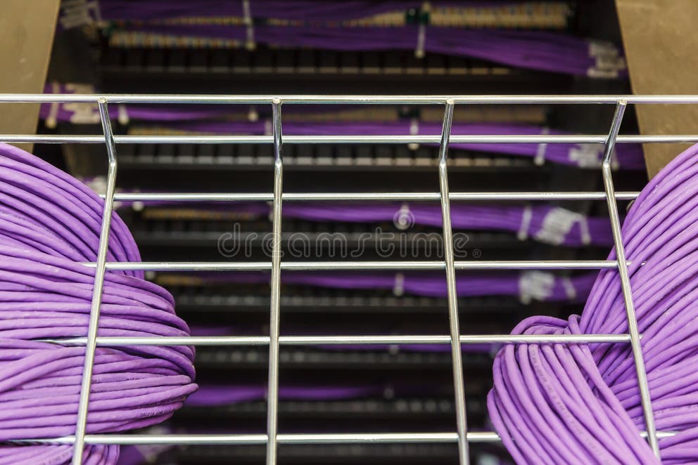 Large Group of Lilac Utp Cables Stock Photo - Image of group, network ...