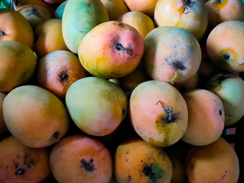 Group of Mango Fruit on the Supermarket Display Stock Photo - Image of ...