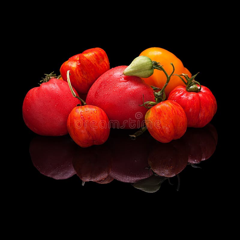 Large Group of Multi-colored Tomatoes Isolated on Black Stock Image ...