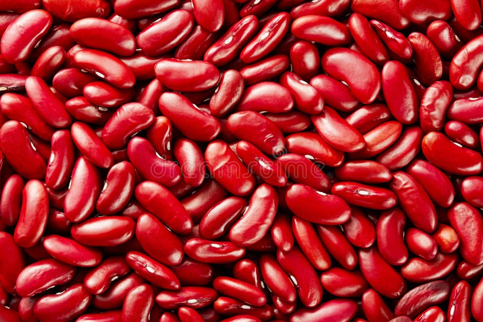 Large Group of Raw Red Beans. Background Stock Photo - Image of pile ...