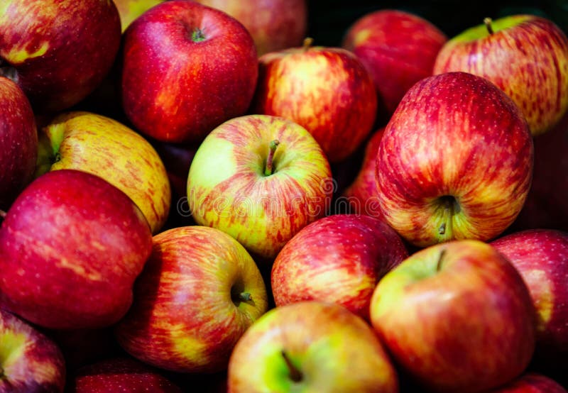 Clorfull Red Apples Background Stock Image - Image of autumn, food ...