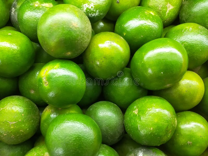 Large Group of Sweet Baby Java Orange Close Up Stock Image - Image of ...