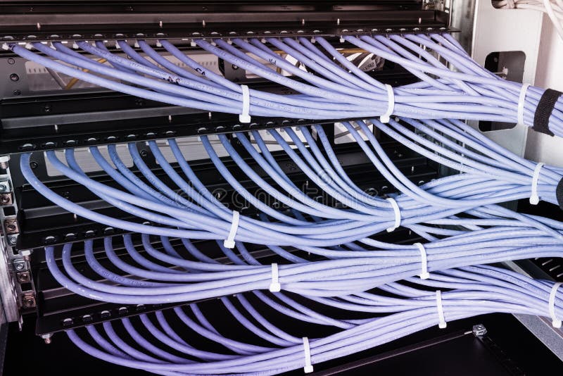 Large Group of UTP Cables, Ethernet Cables in Rack Cabinet, Lead Stock ...