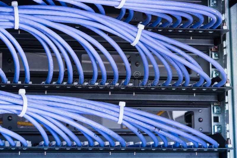 Large Group of UTP Cables, Ethernet Cables in Rack Cabinet, Lead Stock ...