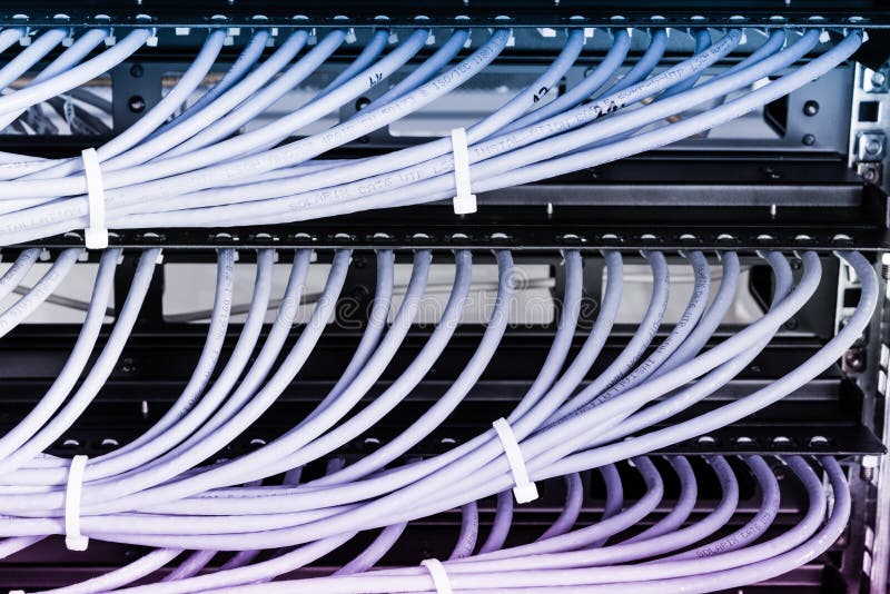 Large Group of UTP Cables, Ethernet Cables in Rack Cabinet, Lead Stock ...