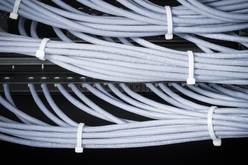 Large Group of UTP Cables, Ethernet Cables in Rack Cabinet, Lead Stock ...