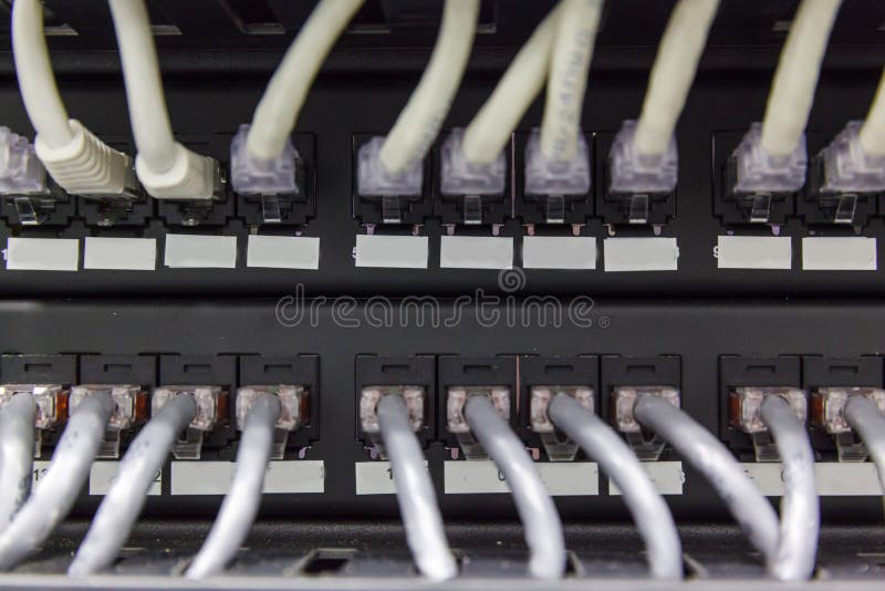 Large Group of White Utp Cables Stock Photo - Image of cable ...