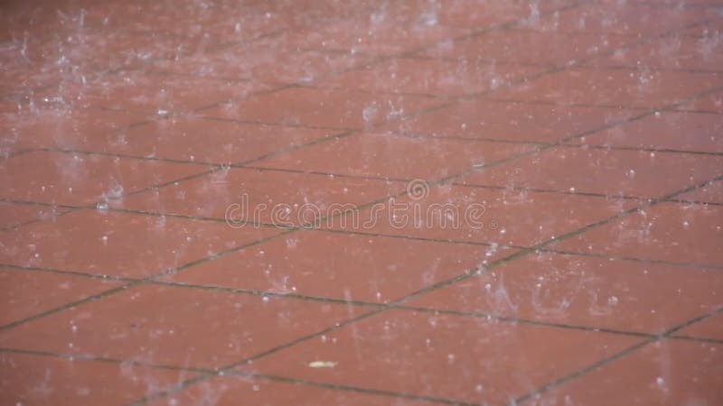 Large Hail Falling on the Road, Heavy Rain, Summer Thunderstorm with ...