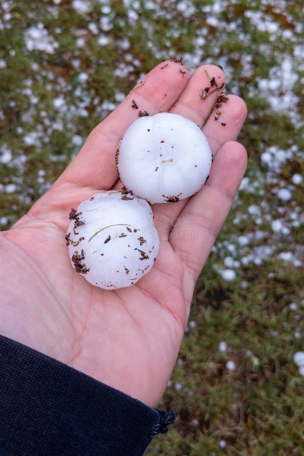 Large Hail on Human Palm Close Up after Hailstones Thunderstorm Stock ...
