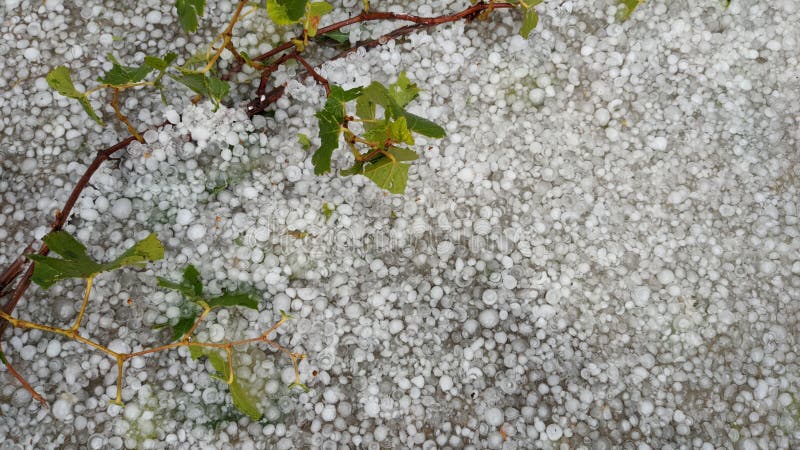 Large Hail Ice Balls after Heavy Summer Storm, Hail Storm Stock Image ...