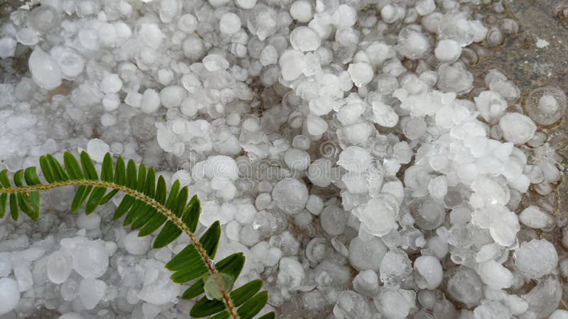 Large Hail Ice Balls after Heavy Summer Storm, Hail Storm Stock Image ...