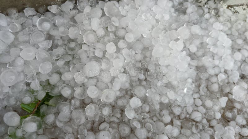 Large Hail Ice Balls after Heavy Summer Storm, Hail Storm Stock Photo ...