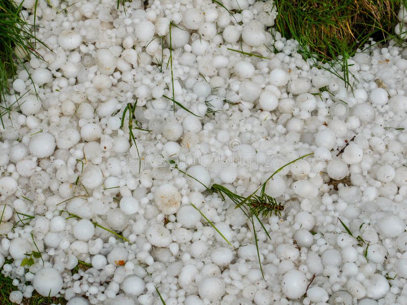 Hail on the meadow stock photo. Image of large, nature - 229916550