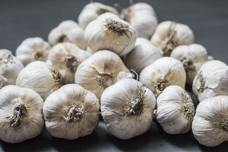 A Large Handful of Pure White Garlic. Stock Photo - Image of onion ...