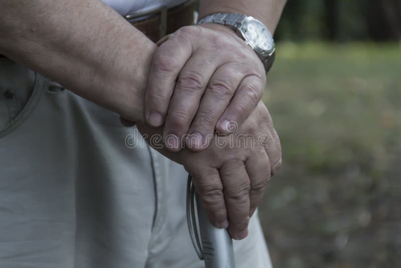 The Large Hands of an Elderly Man are Folded on a Cane with a Watch on ...