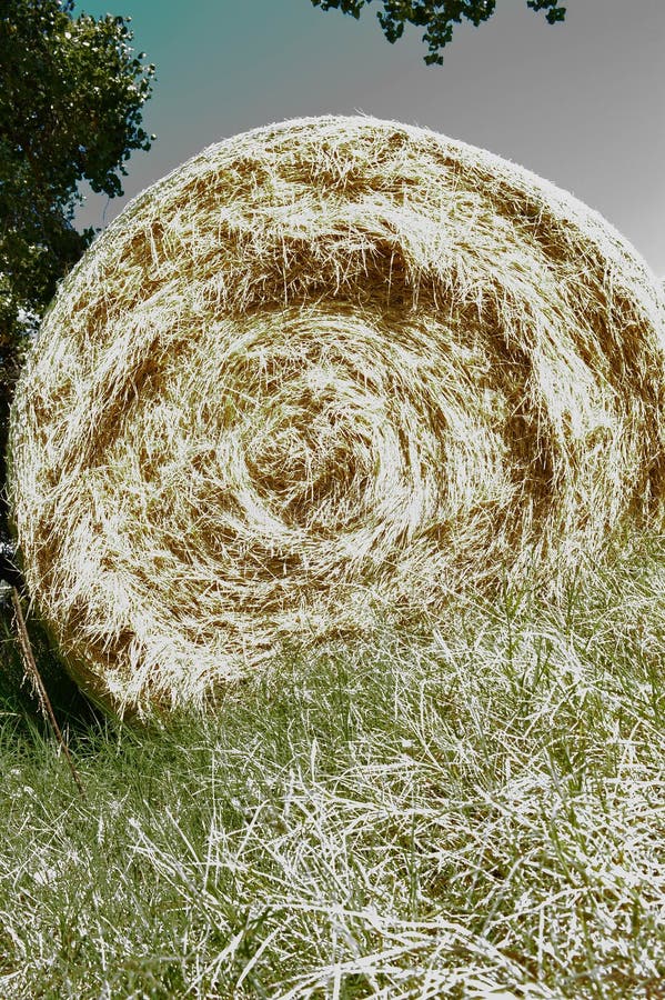 Large hay bale in a field stock photo. Image of farmland - 103155058