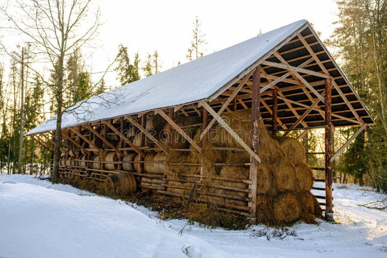 Large Hay Barn with Hay Rolls. Open Type Hay Storage Building Stock ...