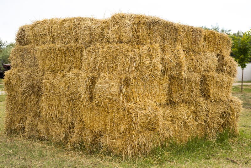 A Large Haystack in the Field. Stock Image - Image of food, crop: 100803035