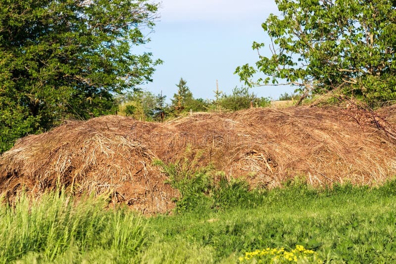 Haystack on a Green Meadow. Stock Image - Image of haystack, fresh ...