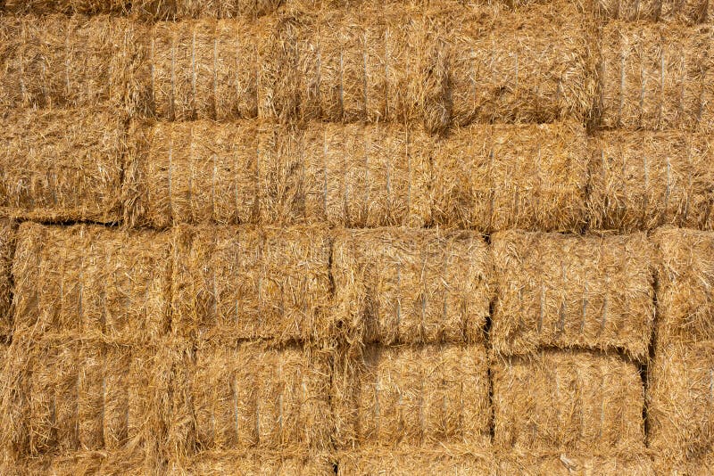 Haystack Texture Background Stock Image - Image of abstract, agri: 19674919