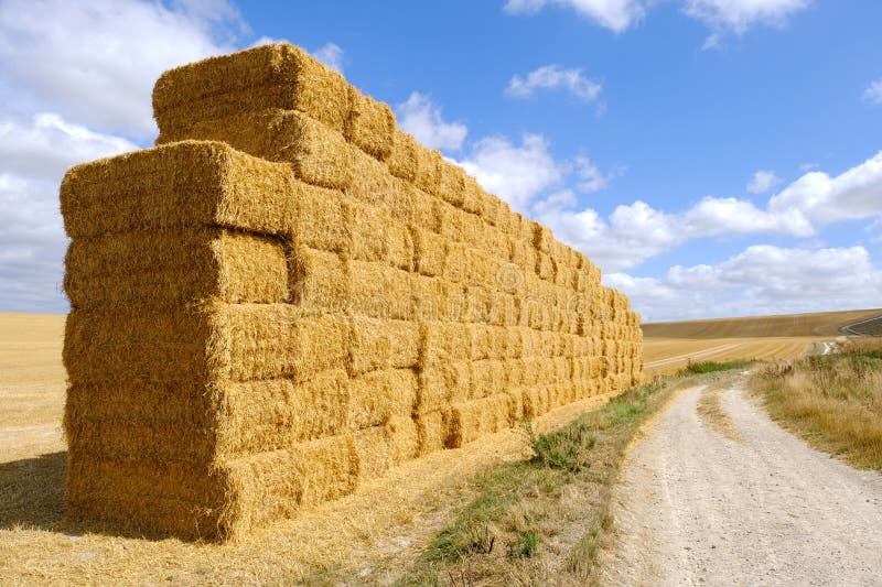 Large Haystackin Field Stock Photos - Free & Royalty-Free Stock Photos ...