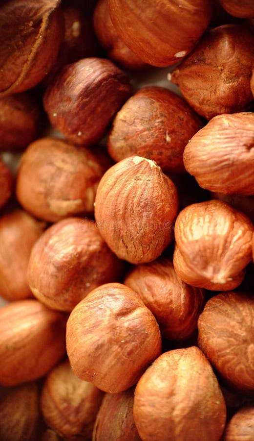 Large Hazelnuts Peeled without Shell Selective Focus Close-up Stock ...