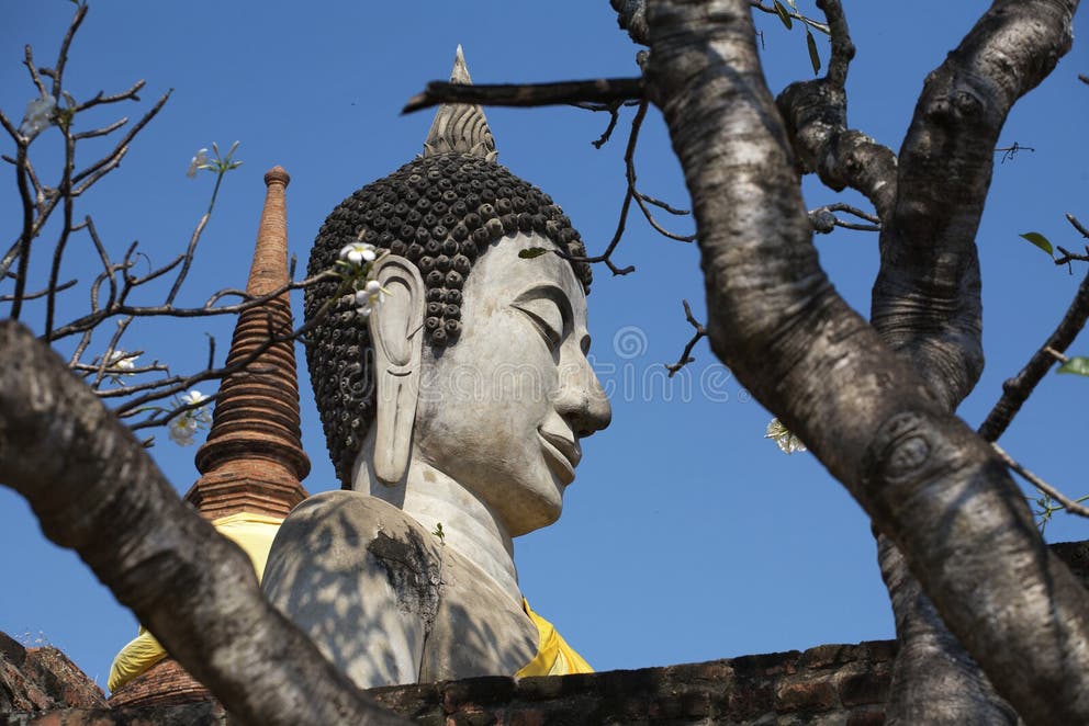 Large Head Buddha and Blue Sky Stock Photo - Image of forest, city ...