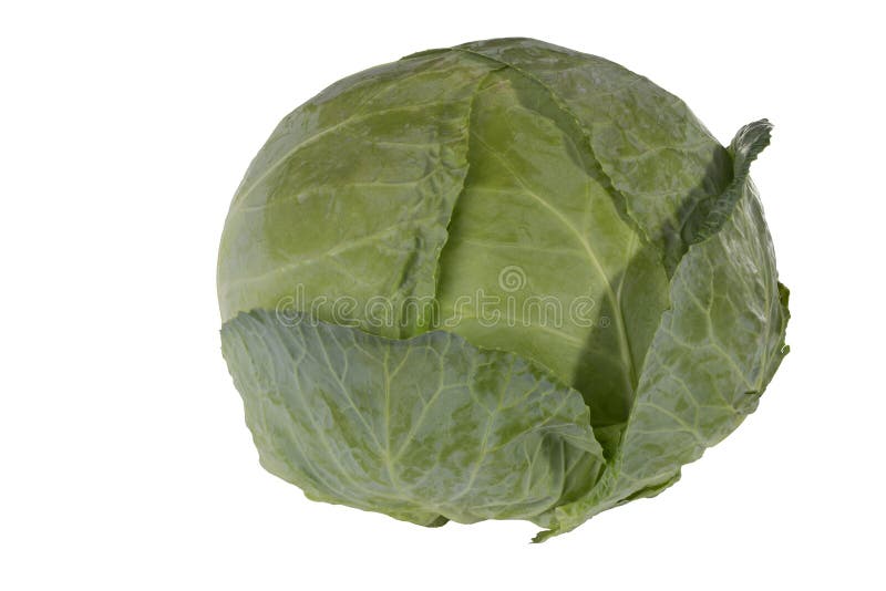Large Head Cabbage Shown Close Up Stock Photos - Free & Royalty-Free ...