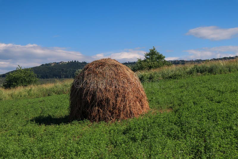 Large Heap Pile of Brown Hay on a Rural Field Stock Photo - Image of ...