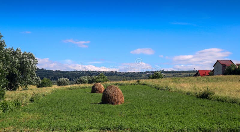Large Heap Piles of Brown Hay on a Rural Field Stock Photo - Image of ...