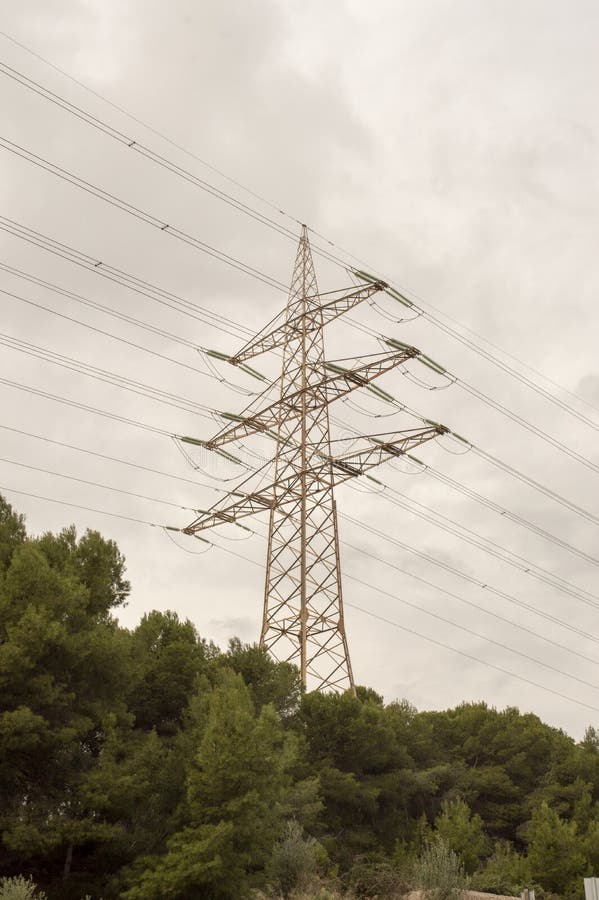 Large High Voltage Electrical Tower that Stands Out among the Pines ...