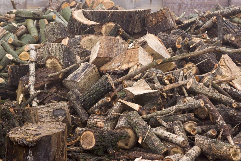 A Large Hill of Cut Parts of Trees Stock Photo - Image of trimmed ...