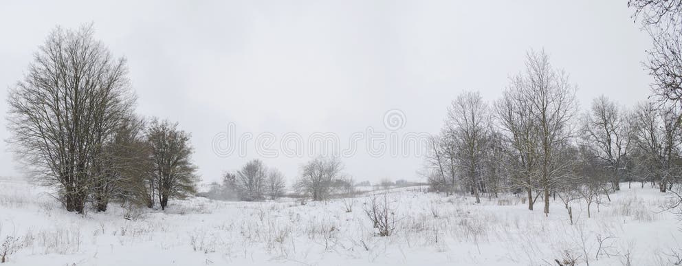 Large Horizontal Winter Snow Panorama on the Road through Mixed Forest ...