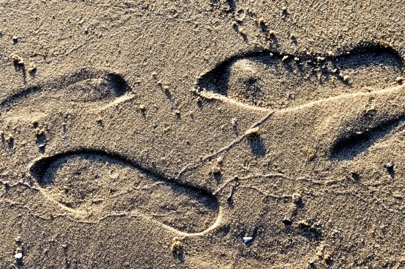Large human footprint stock image. Image of details, footprint - 11099539