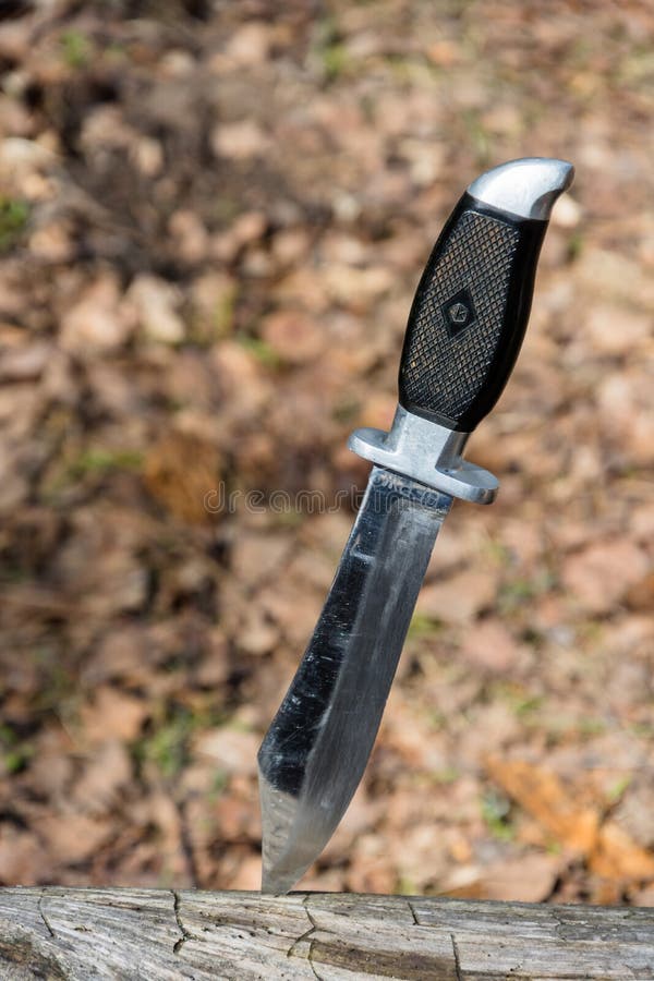 A Large Hunting Knife Stuck in a Log. Stock Photo - Image of hunting ...