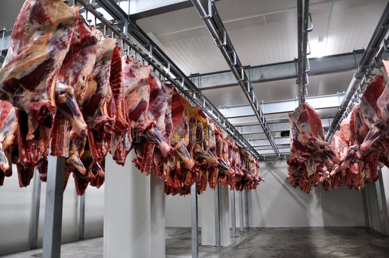 Freezing Beef Industrial Stock Photos - Free & Royalty-Free Stock ...