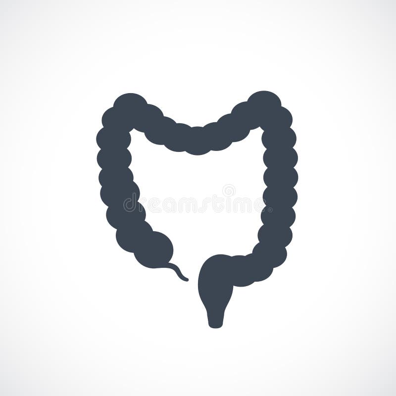 Large Intestine Vector Icon Stock Vector - Illustration of intestine ...