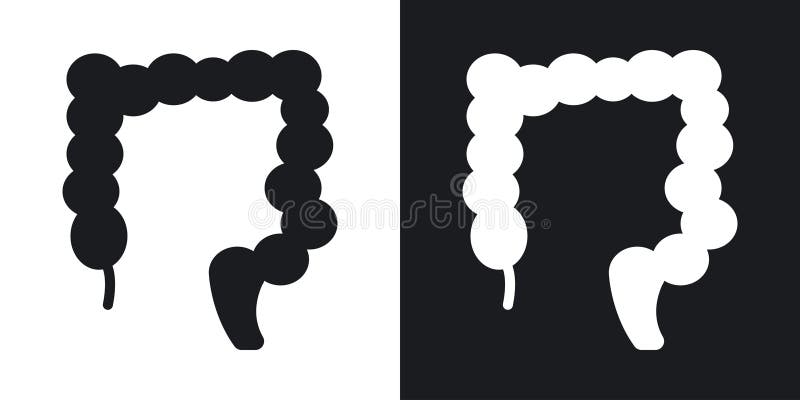 Large Intestine Thin Line Vector Icon Set Stock Vector - Illustration ...
