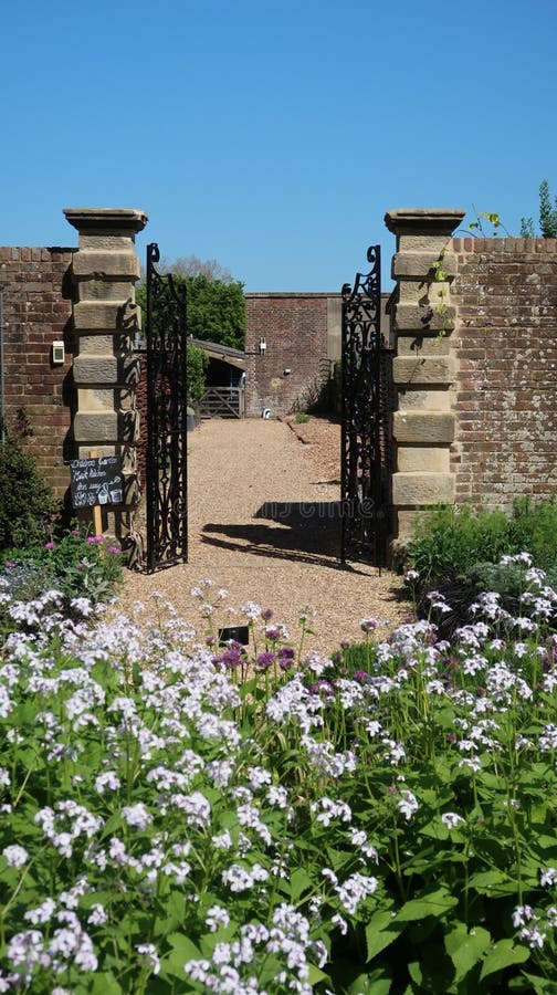 Large iron garden gates. stock image. Image of yard - 247036185