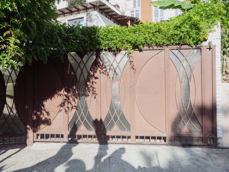 Large Iron Gate with Green Bushes on Top Against the Background of a ...